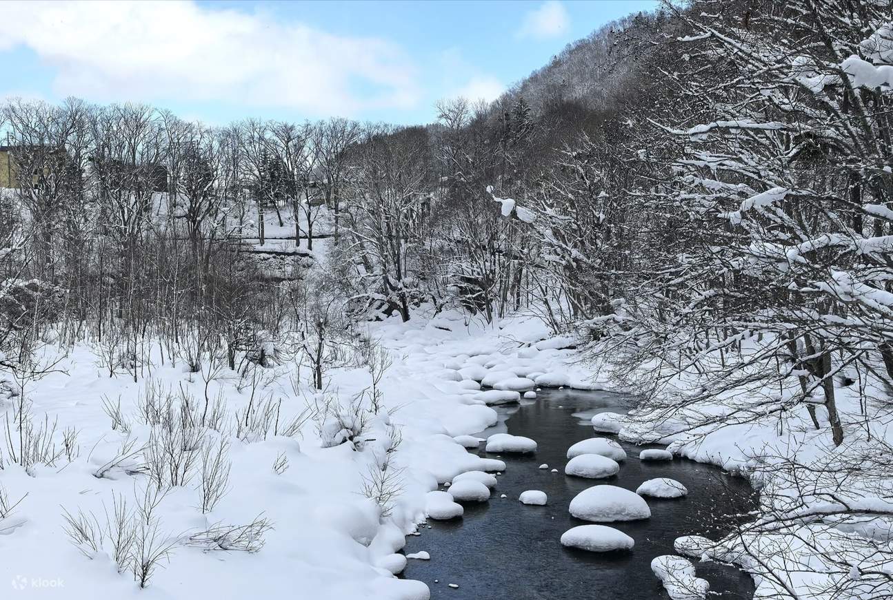 [Winter Limited, departure from Sapporo] Jozankei snow scenery tour × ...